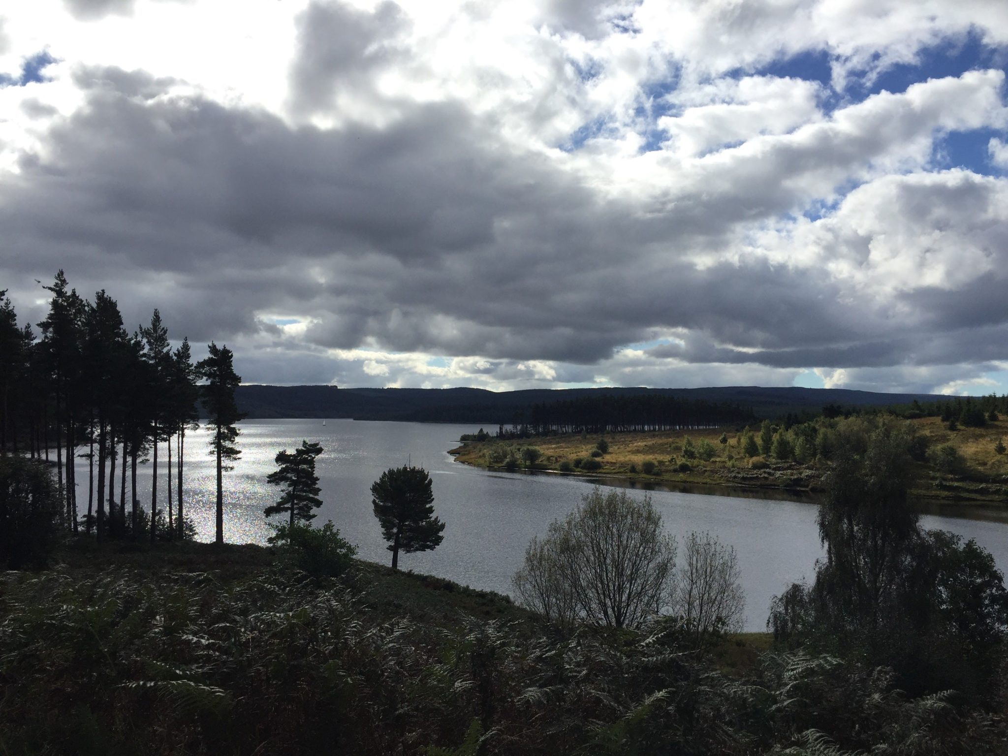 Britain's Most Beautiful - Kielder - Tom Wake